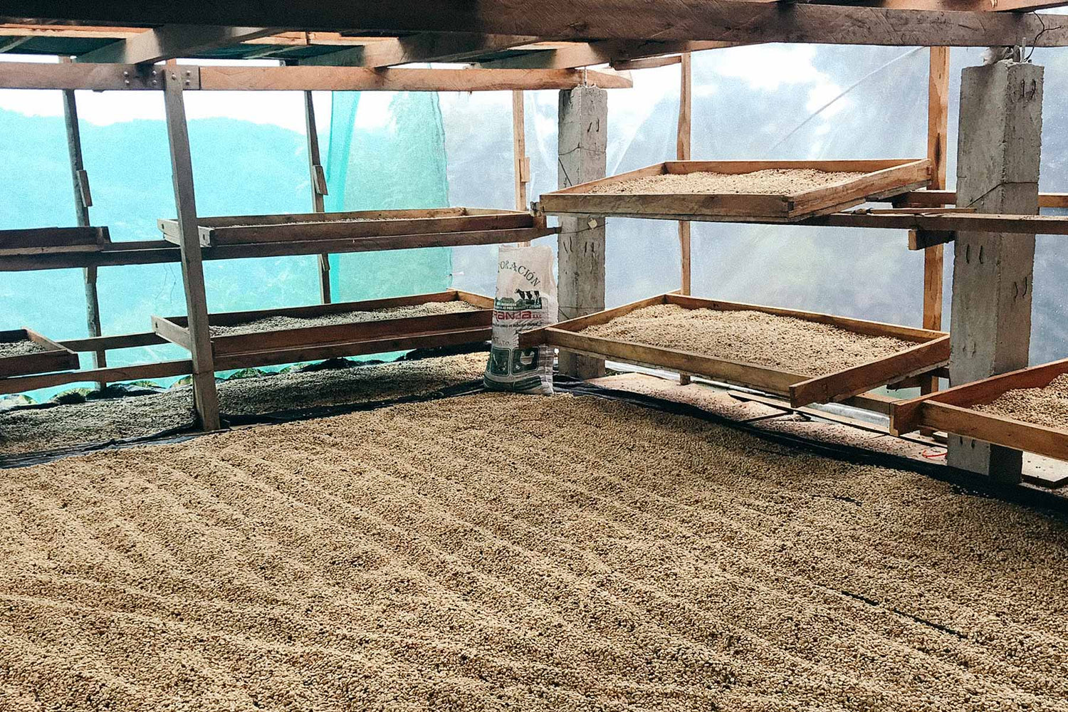 Peru La Fortuna - speciality washed coffee from Peru – Horsham Coffee ...