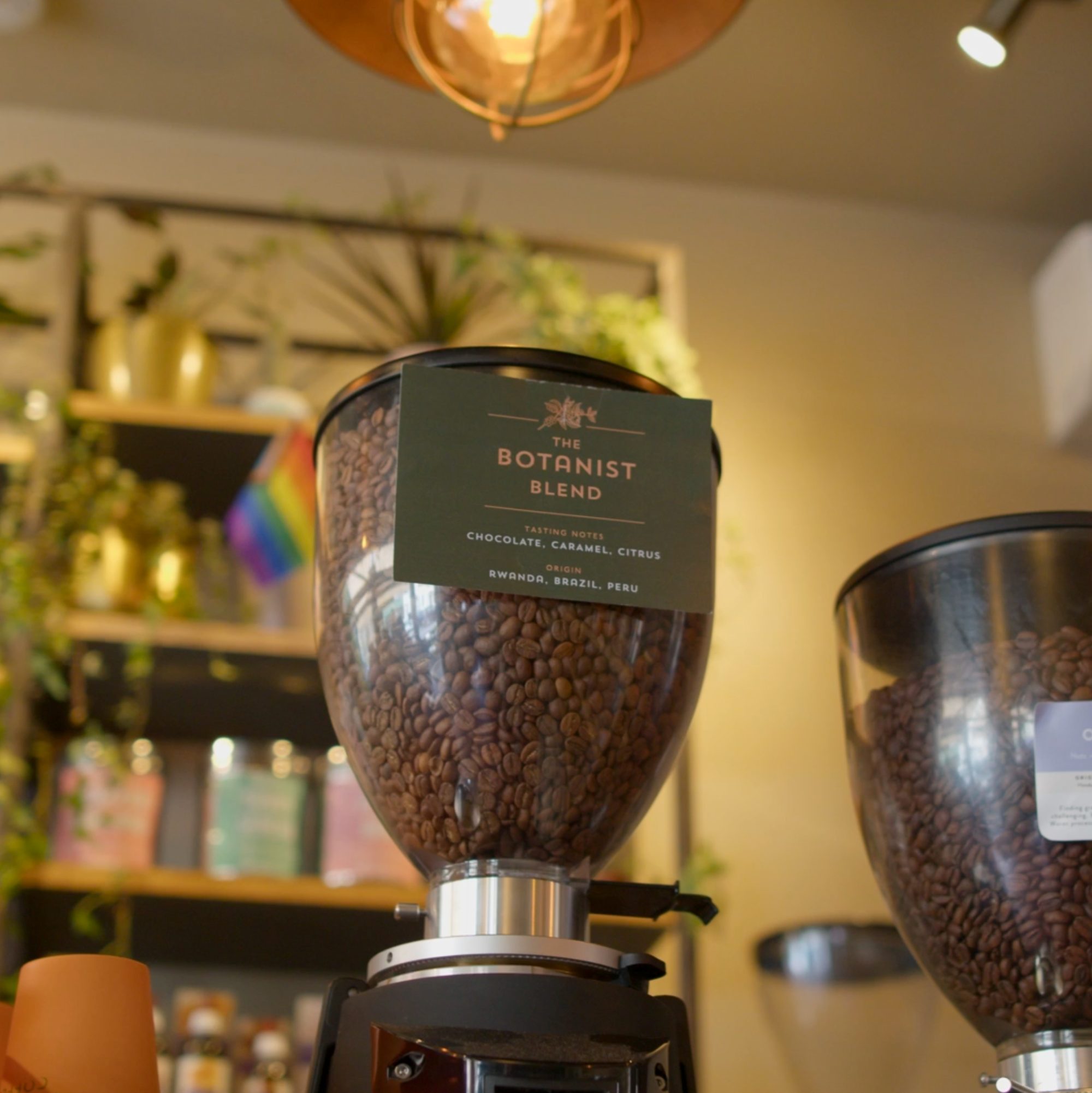 The Botanist Blend – Horsham Coffee Roaster
